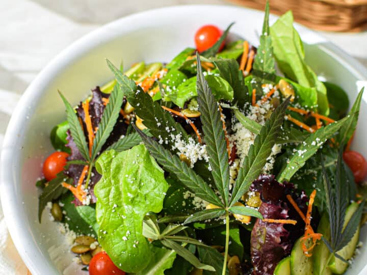 Healthy CBD or THC Gummies Made With Concentrate » Emily Kyle Nutrition