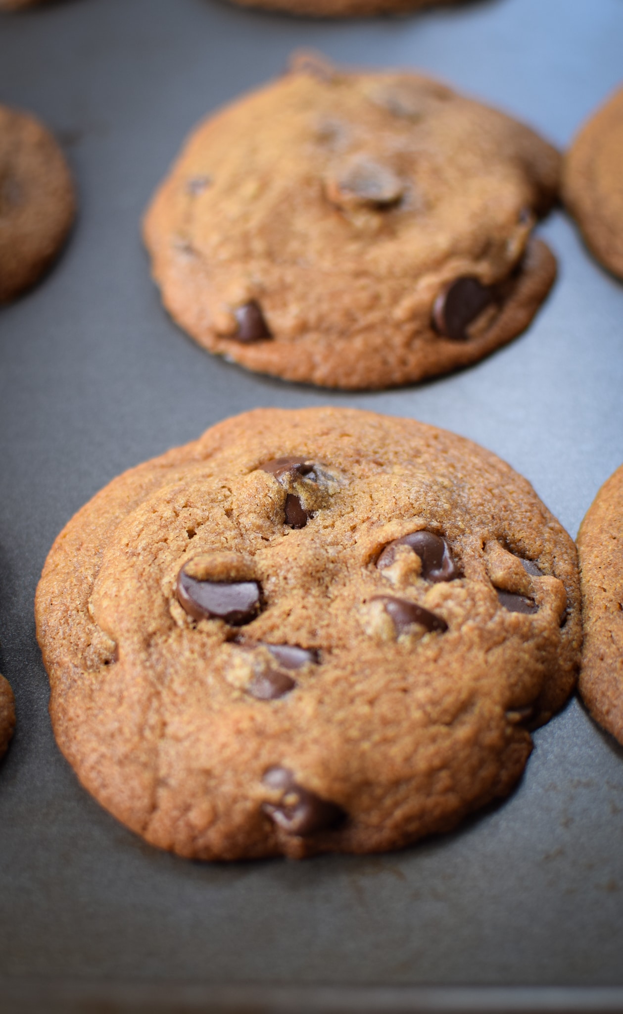 Cannabis Chocolate Chip Cookies » Emily Kyle Nutrition