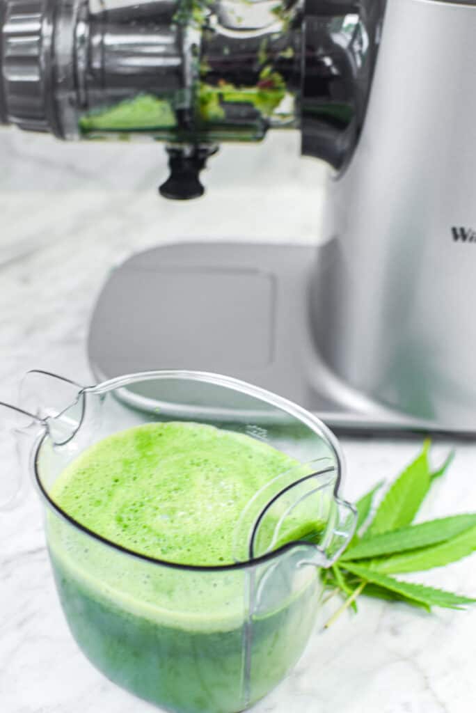 Incredible Benefits of Raw Cannabis + Juice Recipe » Emily Kyle Nutrition