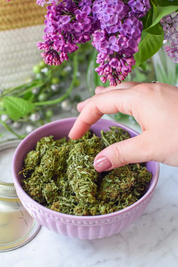 A Beginner’s Guide to Cannabis Edibles » Emily Kyle, MS, RDN