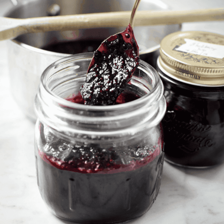 Wild Blackberry or Black Raspberry Jam » Emily Kyle, MS, RDN