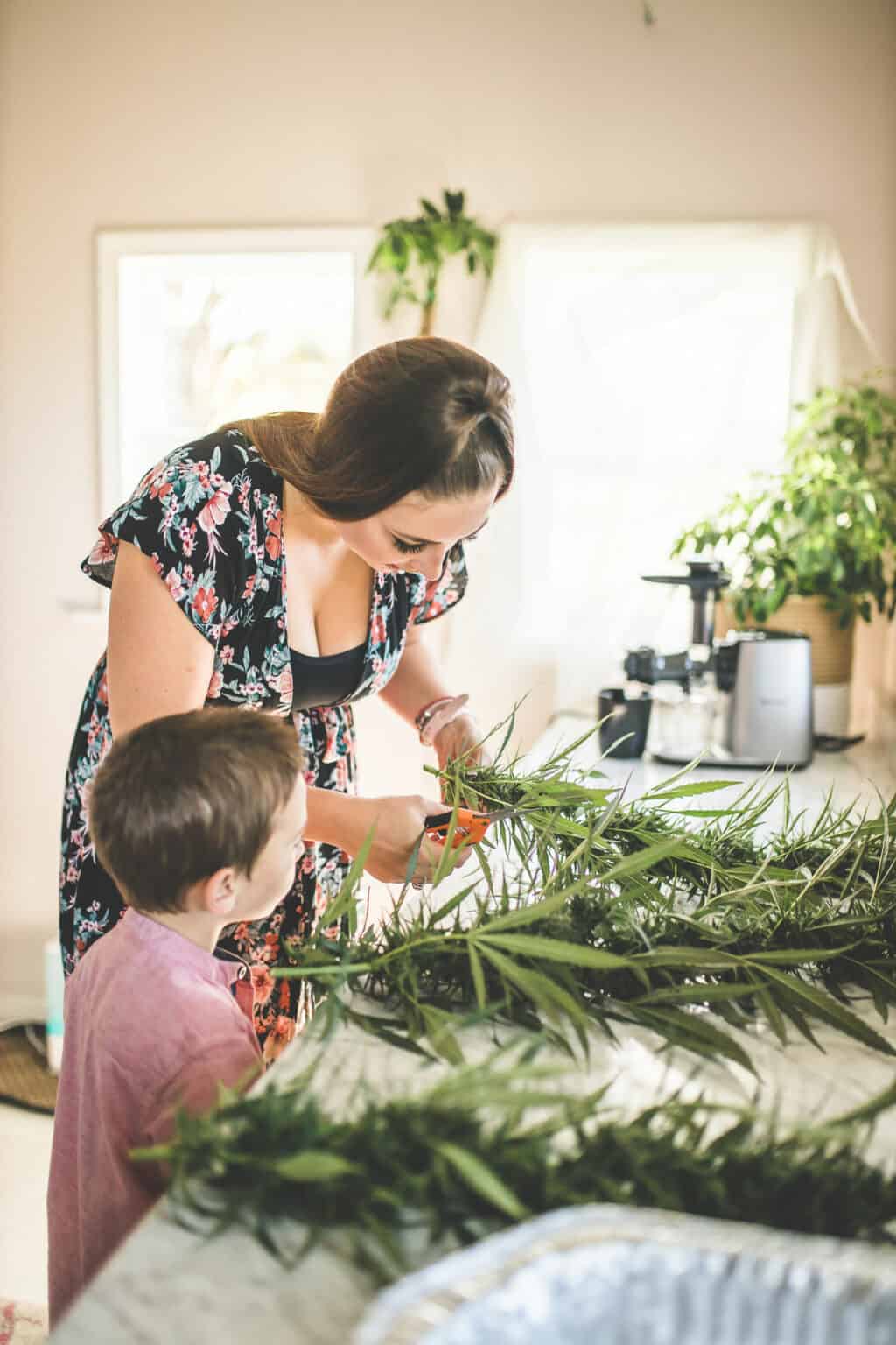 How to Use Cannabis Fan Leaves in Edibles » Emily Kyle Nutrition
