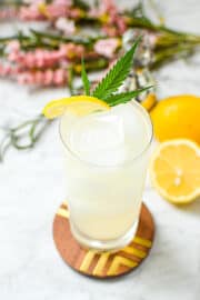 Simple, Refreshing Cannabis Lemonade » Emily Kyle, MS, RDN