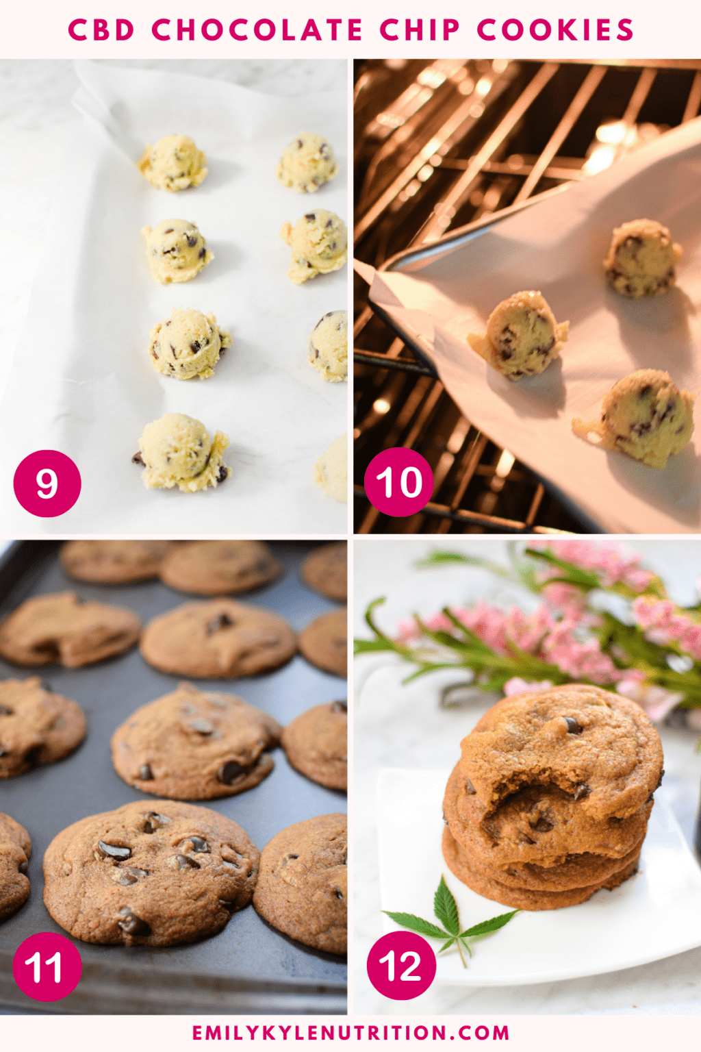 CBD Chocolate Chip Cookies » Emily Kyle, MS, RDN
