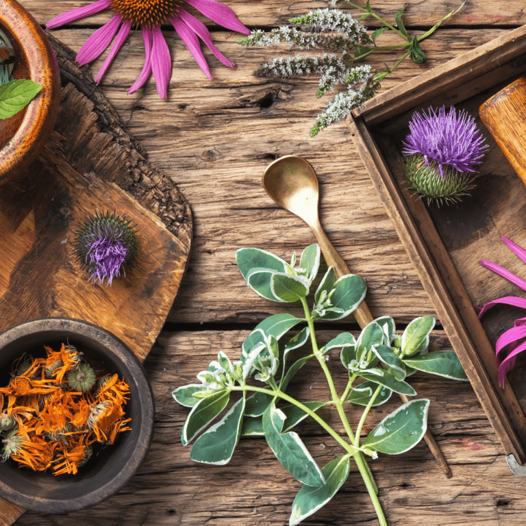 Honey, Ginger, Warm Lemon Water Recipe + Benefits » Emily Kyle Nutrition